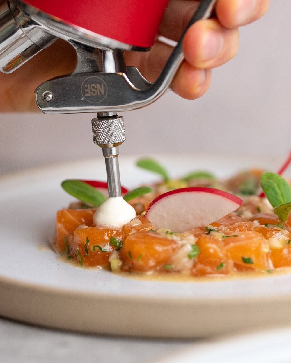 Salmon Tartare with Yuzu Crème Fraîche - iSi